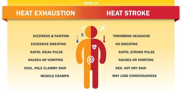 Heat Exhaustion Vs Heat Stroke & First Aid - Safety Notes