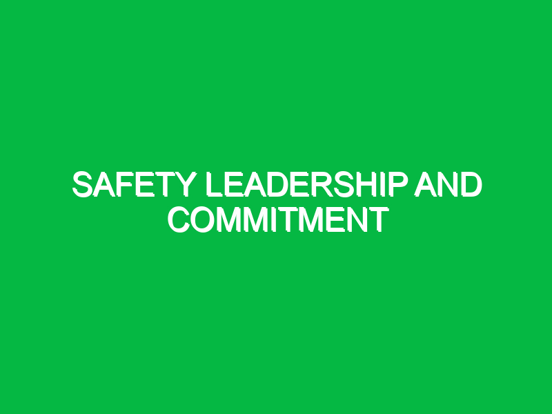 Safety leadership and commitment - Safety Notes