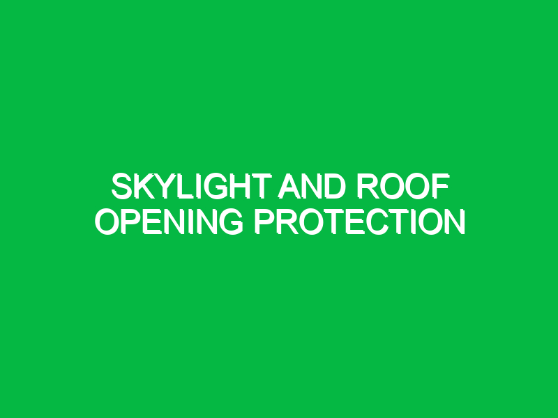 Skylight and roof opening protection - Safety Notes