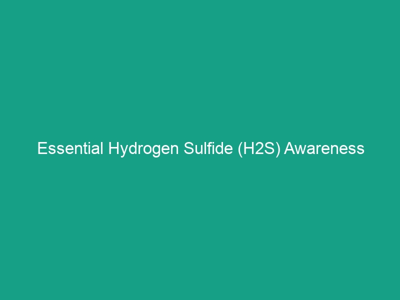 Essential Hydrogen Sulfide (H2S) Awareness Guidelines You Must Know ...